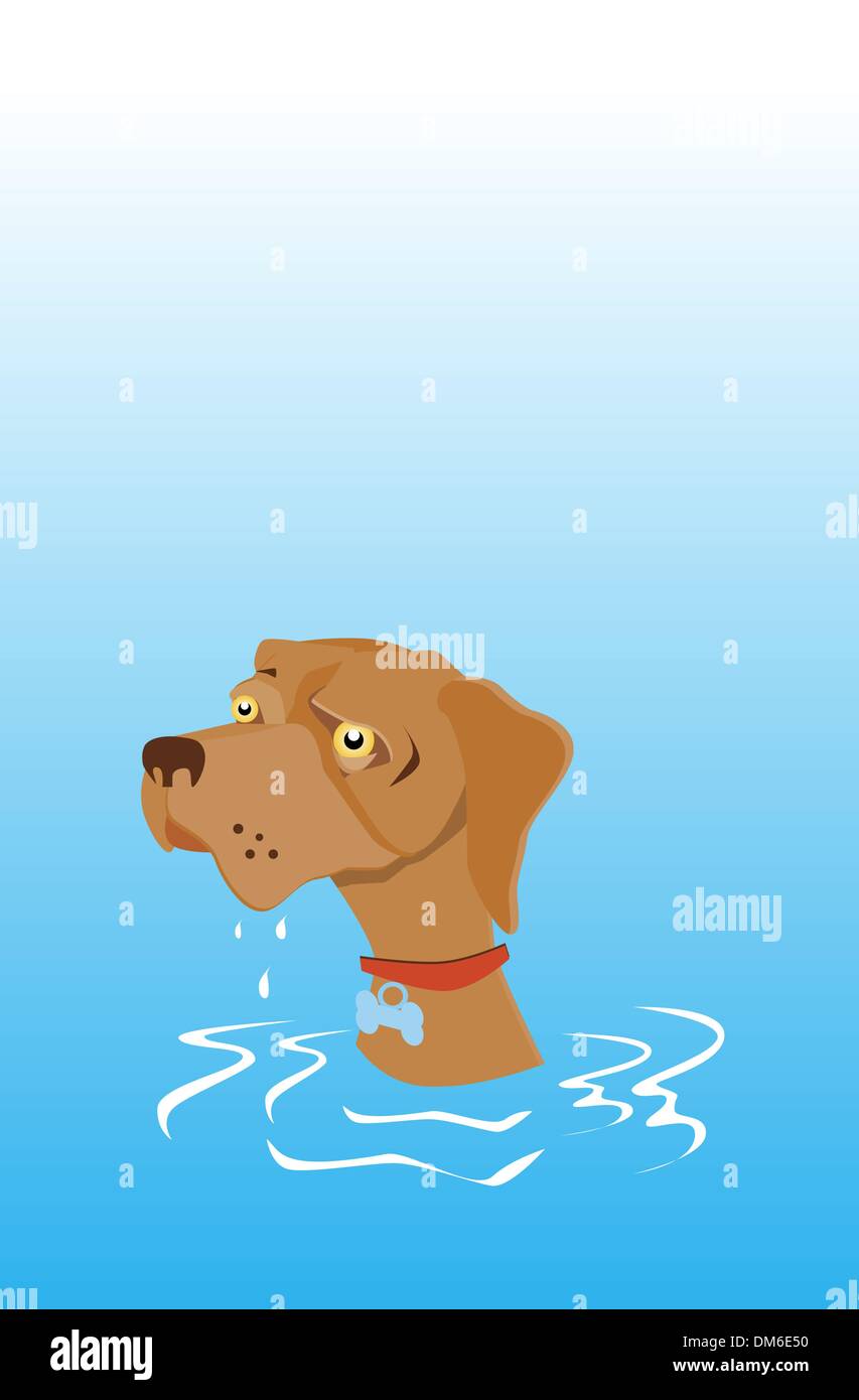 Canine swim Stock Vector Images - Alamy