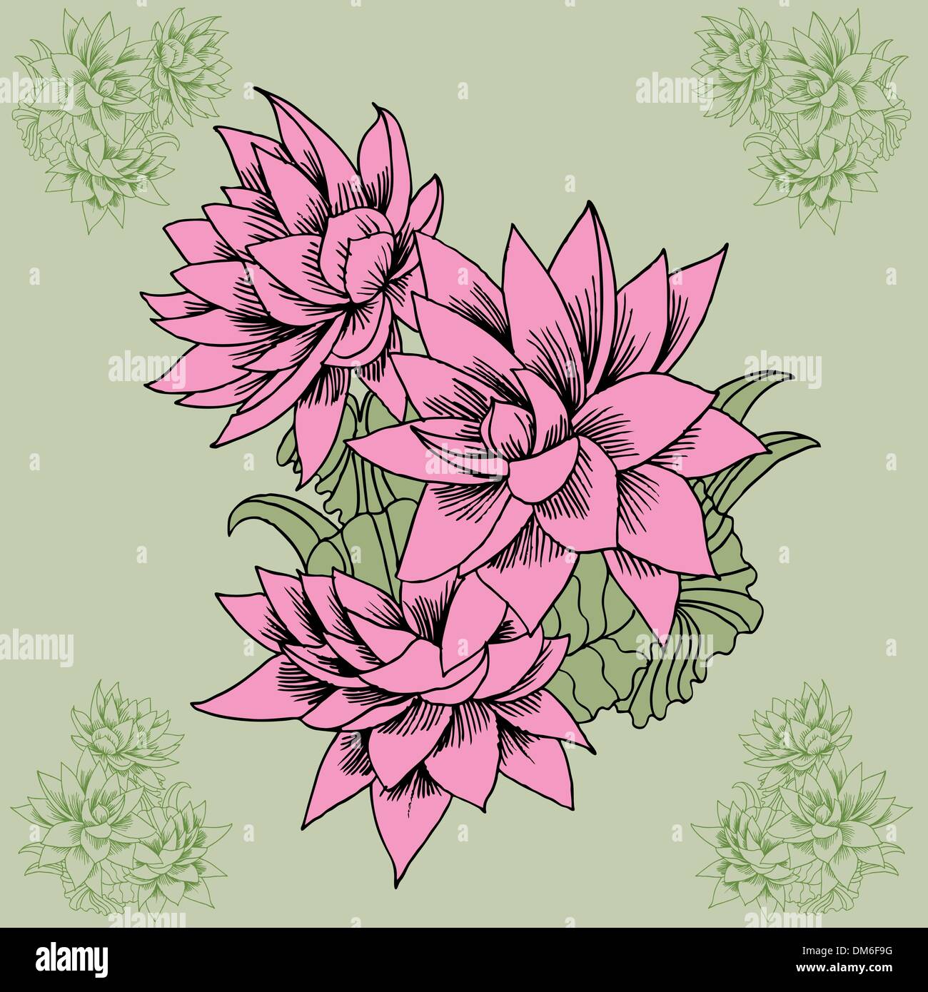 Pink flower with green background Stock Vector Images - Alamy
