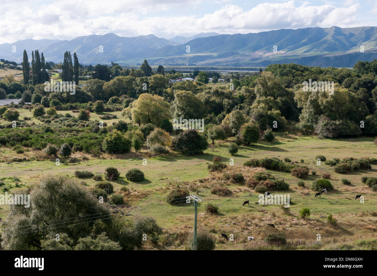 Waitaki Valley, South Island, New Zealand Stock Photo - Alamy