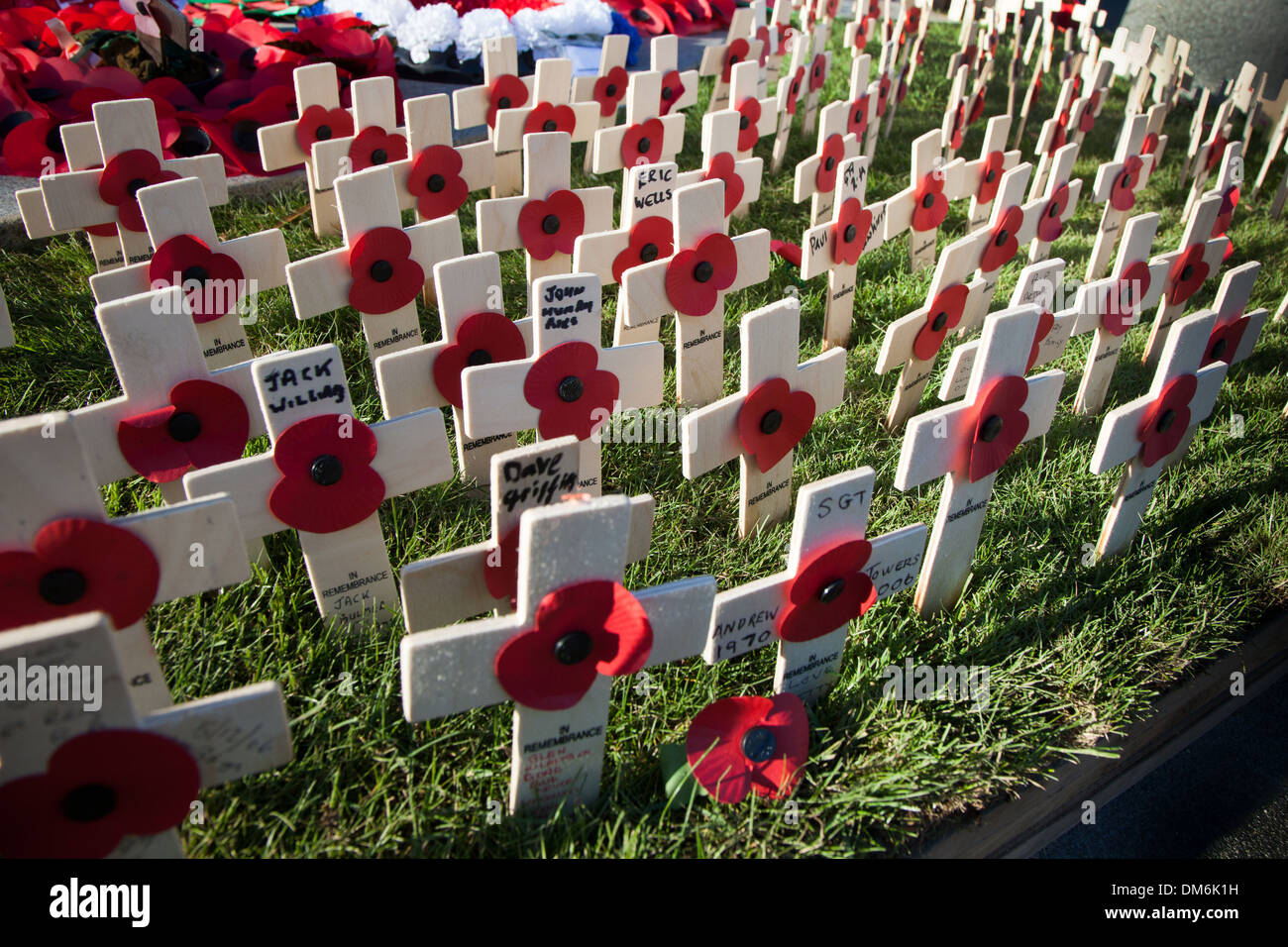 Poppies cross hi-res stock photography and images - Alamy
