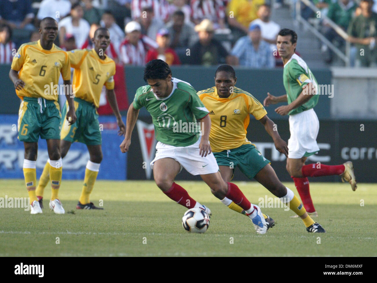 Siphika hi-res stock photography and images - Alamy