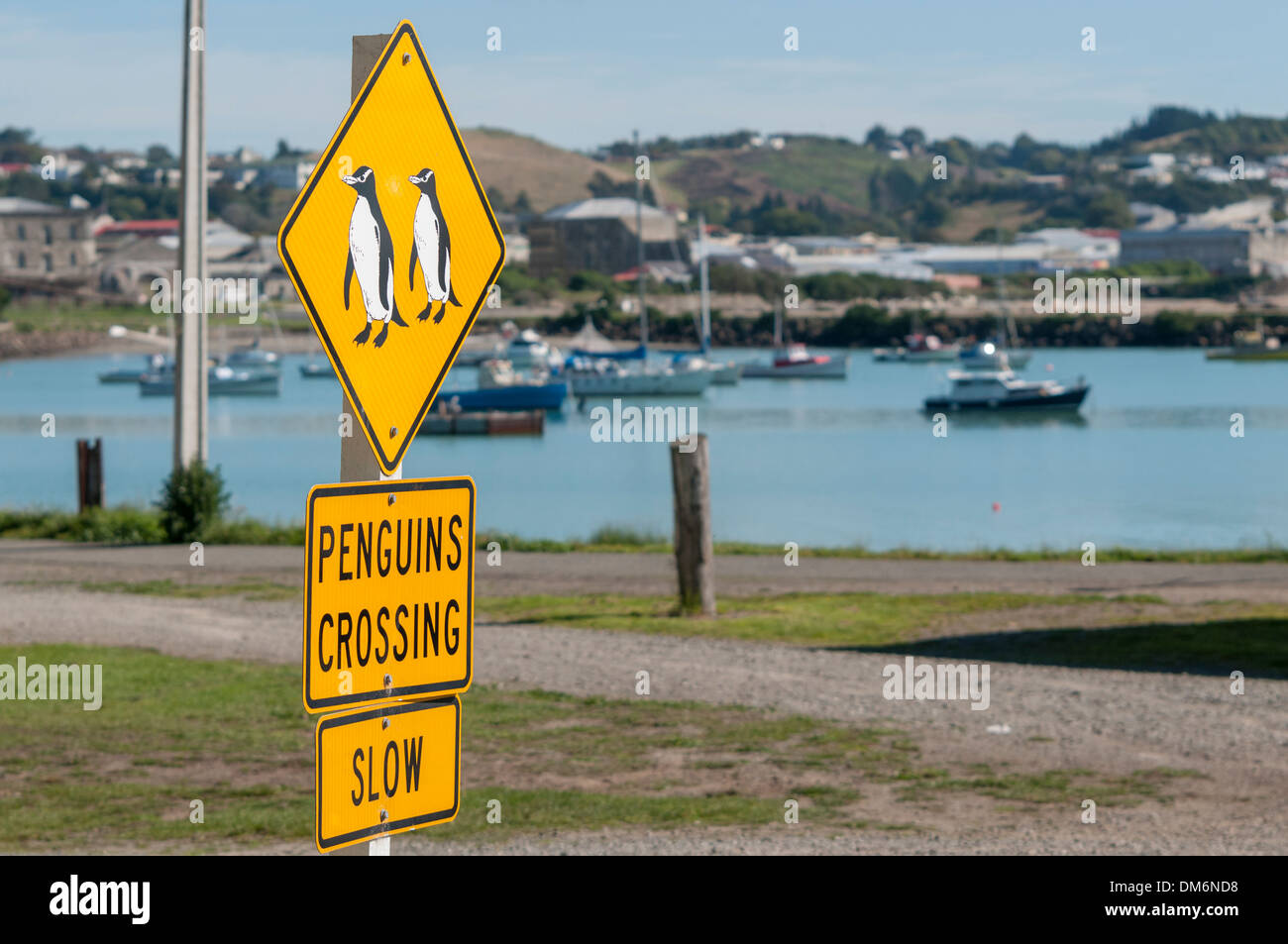 Penguin crossing sign near the blue penguin colony in Oamaru, North ...
