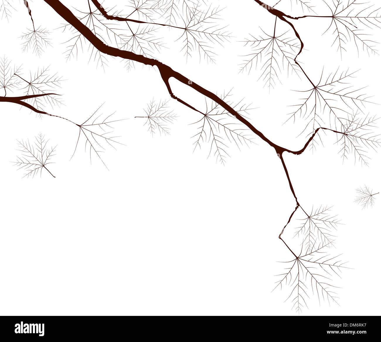 Fresh oak leaves background Stock Vector Images - Alamy