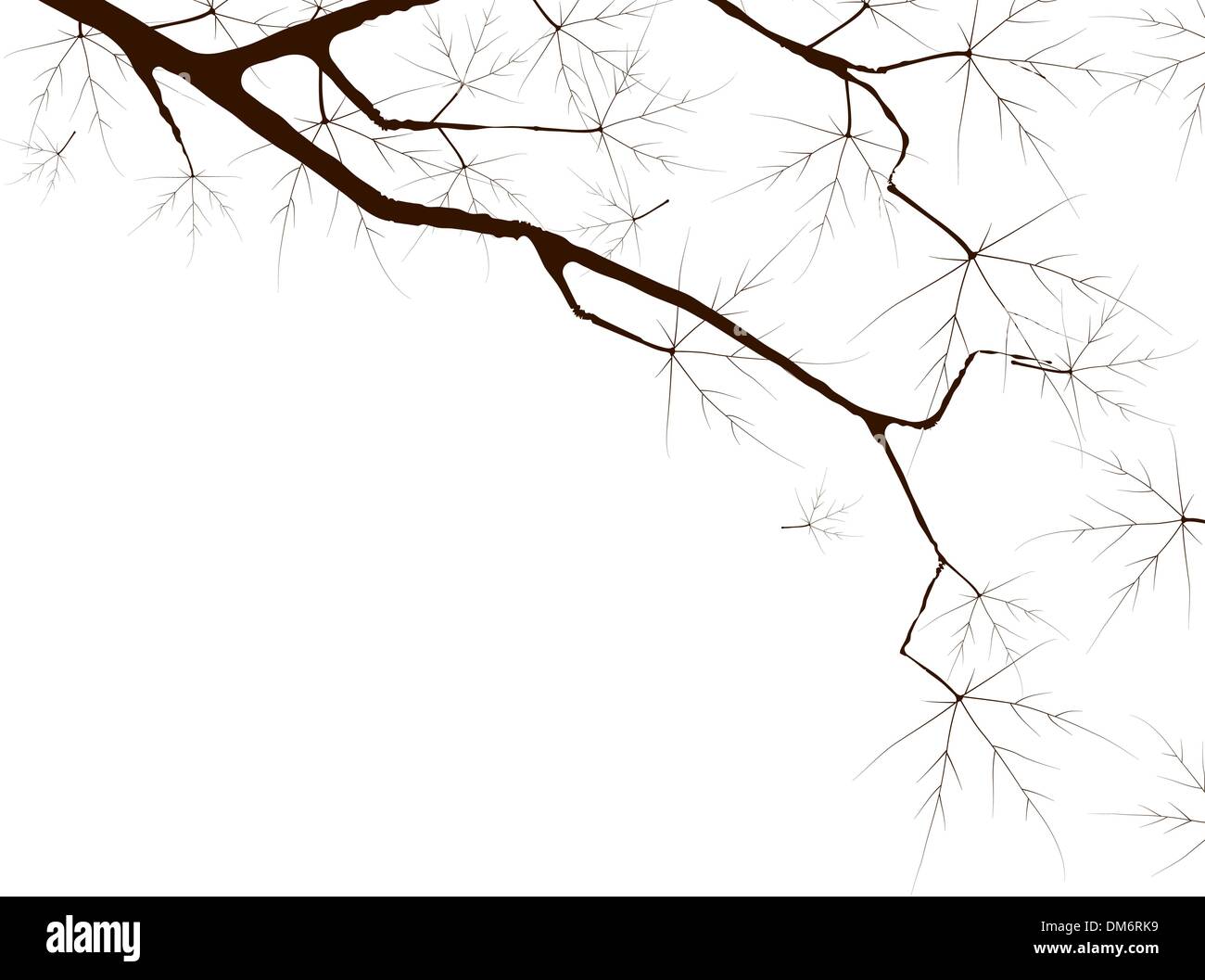 Red leaves on japanese maple tree Stock Vector Images - Alamy