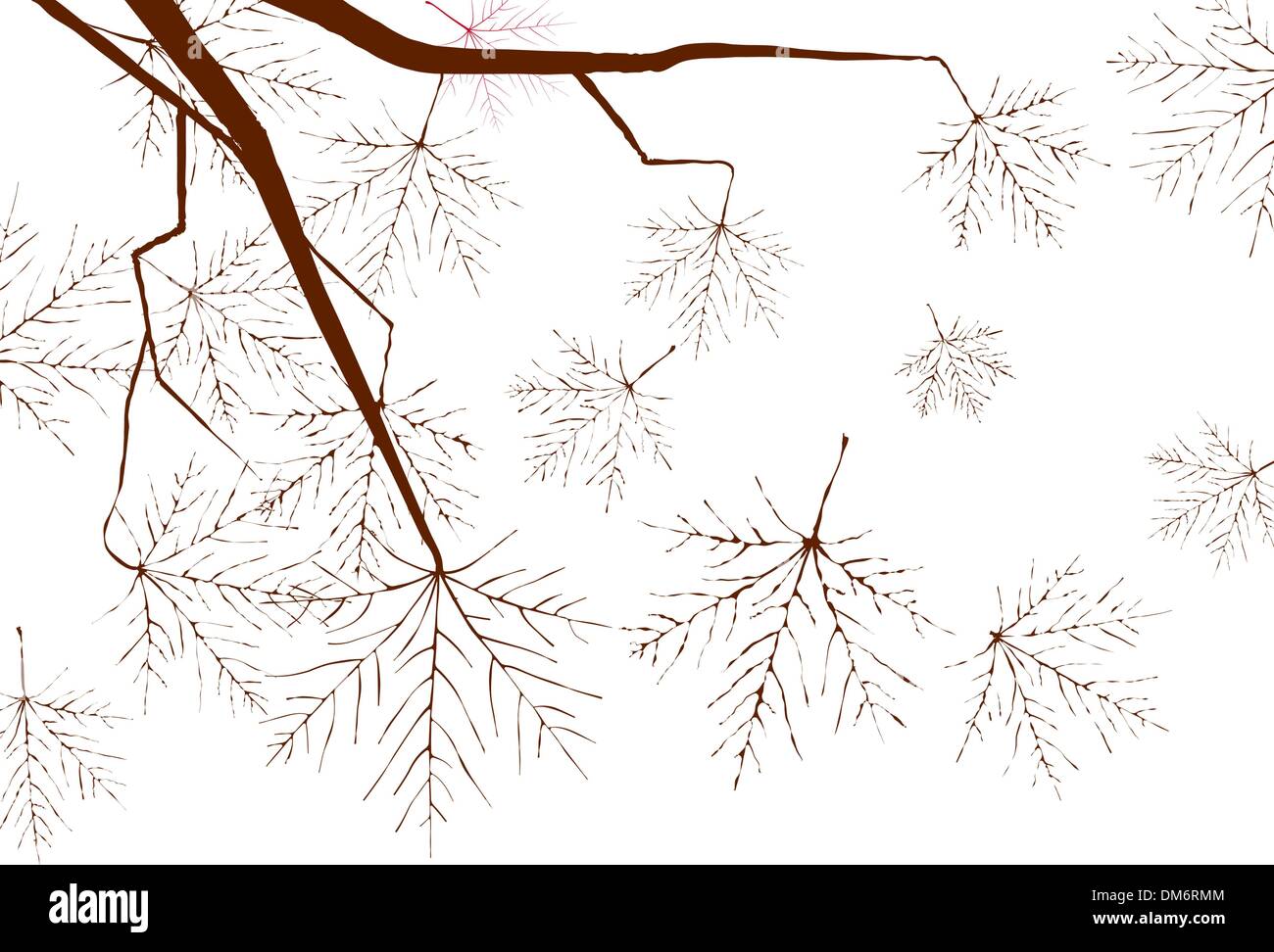 Autumn foliage sky Stock Vector Images - Alamy