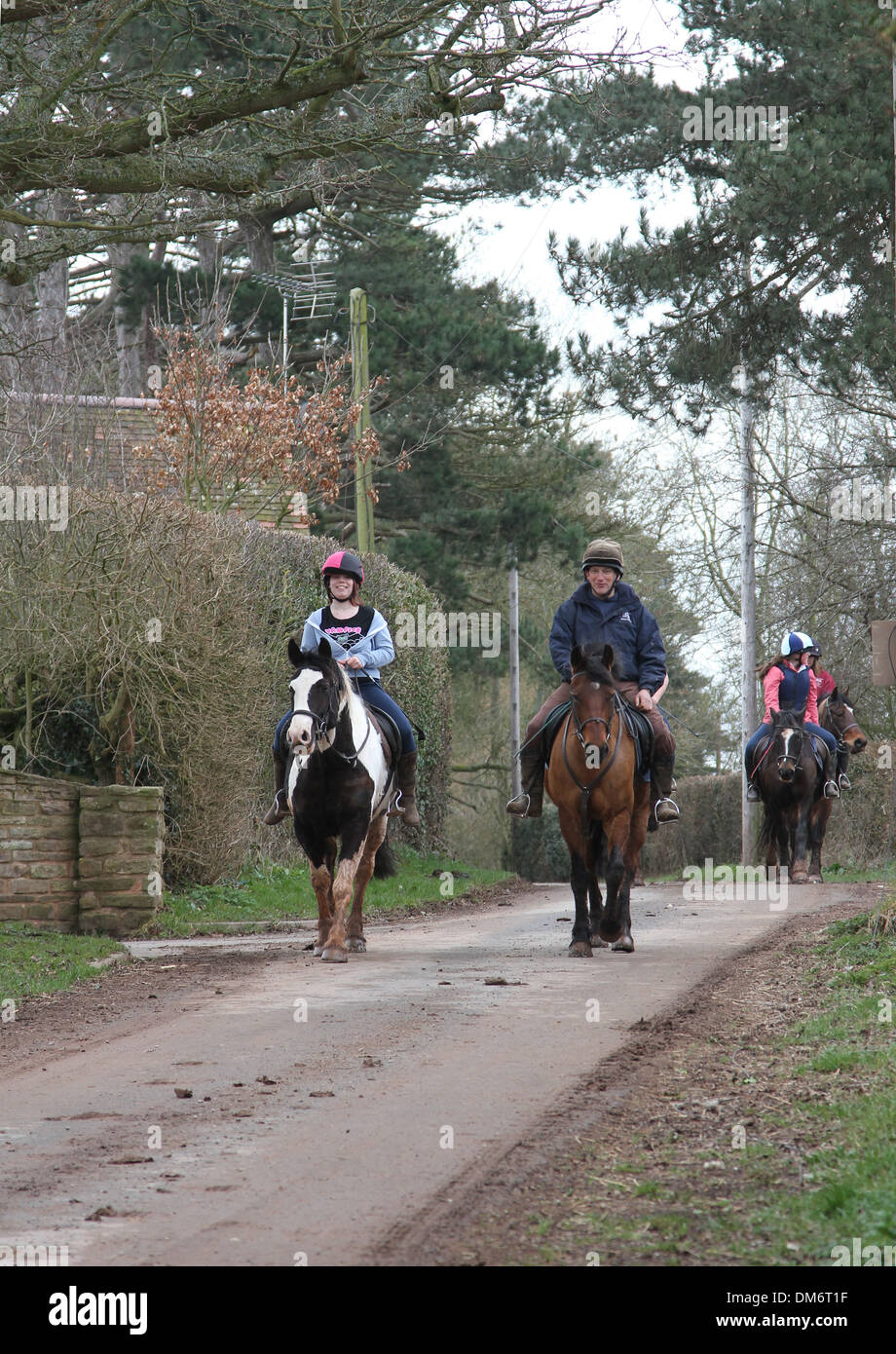 Horses and riders hacking out Stock Photo - Alamy