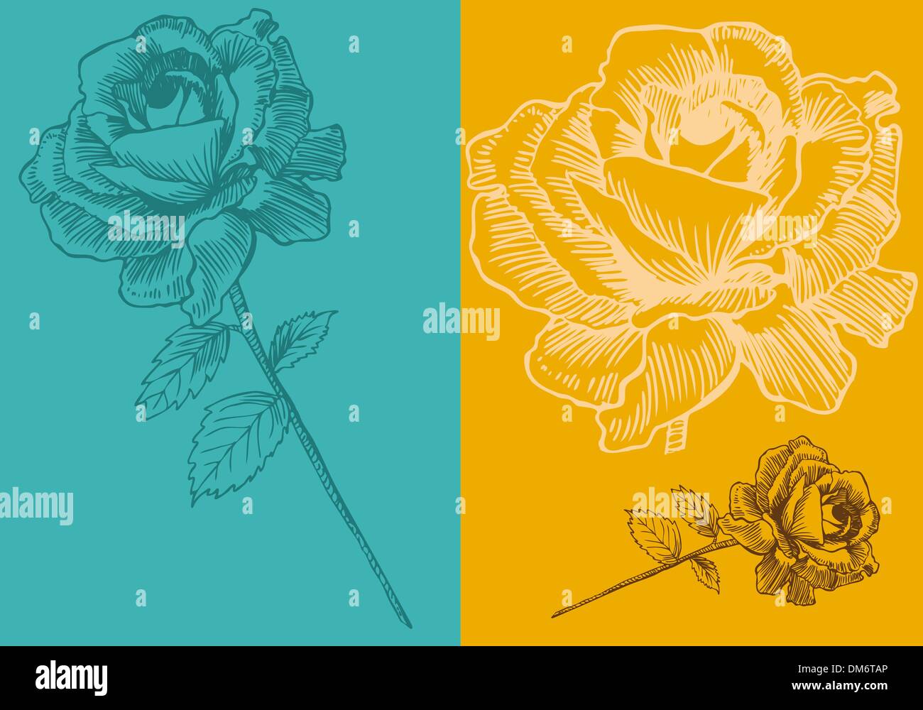 Hand Drawn Rose Stock Vector Image & Art - Alamy