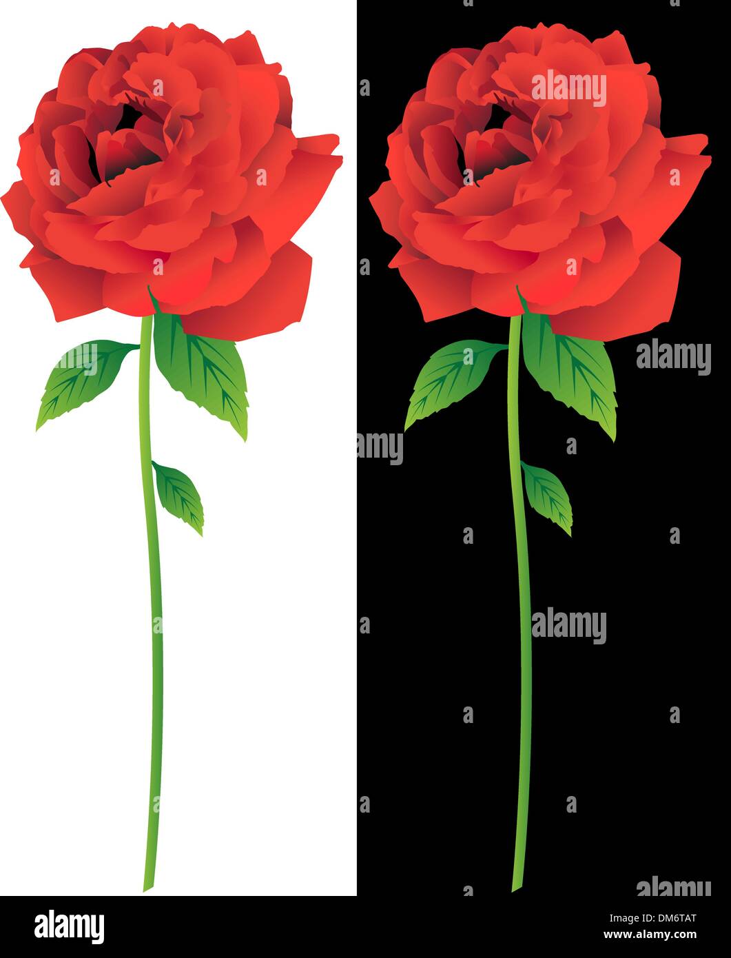 Hand Drawn Rose Stock Vector Image & Art - Alamy