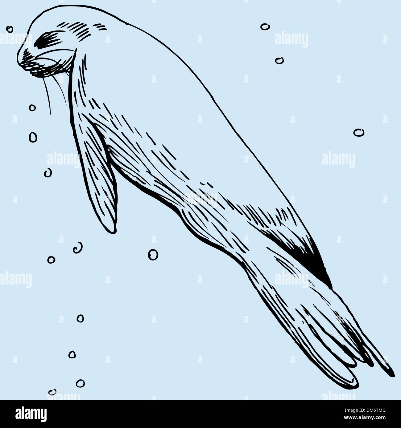 Seal swimming Stock Vector Images - Alamy