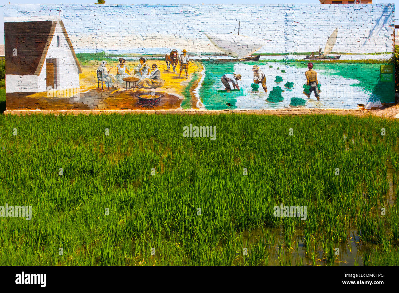 Wall mural showing the traditional cooking of paella, Albufera ...
