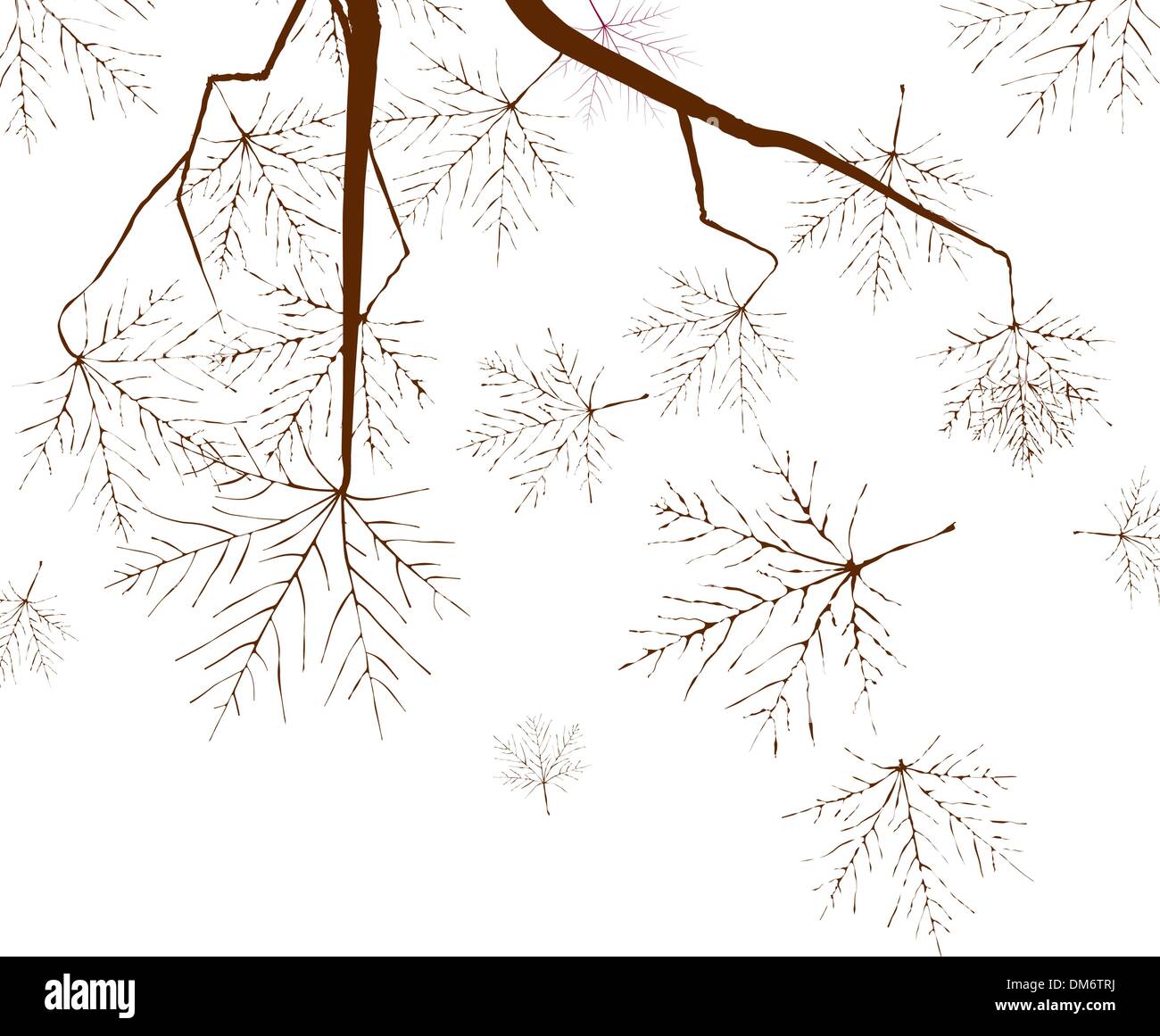 Autumn fall colors colour Stock Vector Images - Alamy