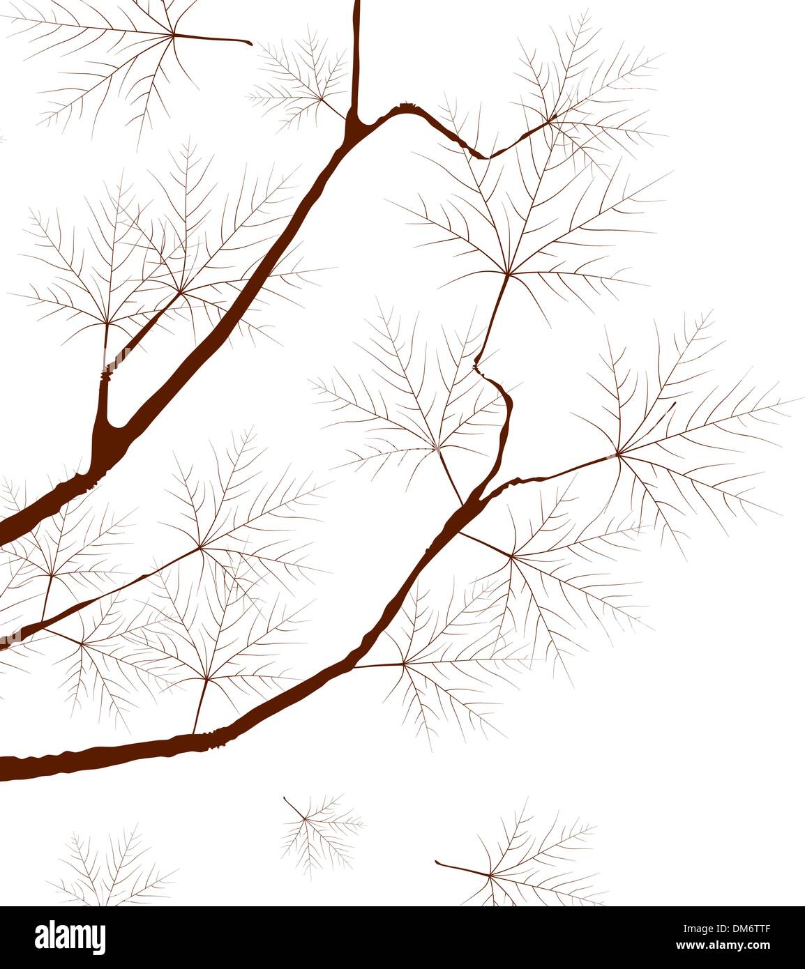 Autumn leaves in forest background Cut Out Stock Images & Pictures - Alamy