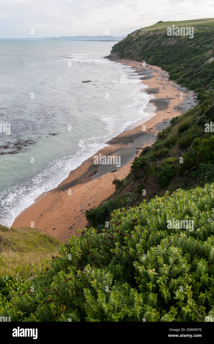 North otago beach hi-res stock photography and images - Alamy