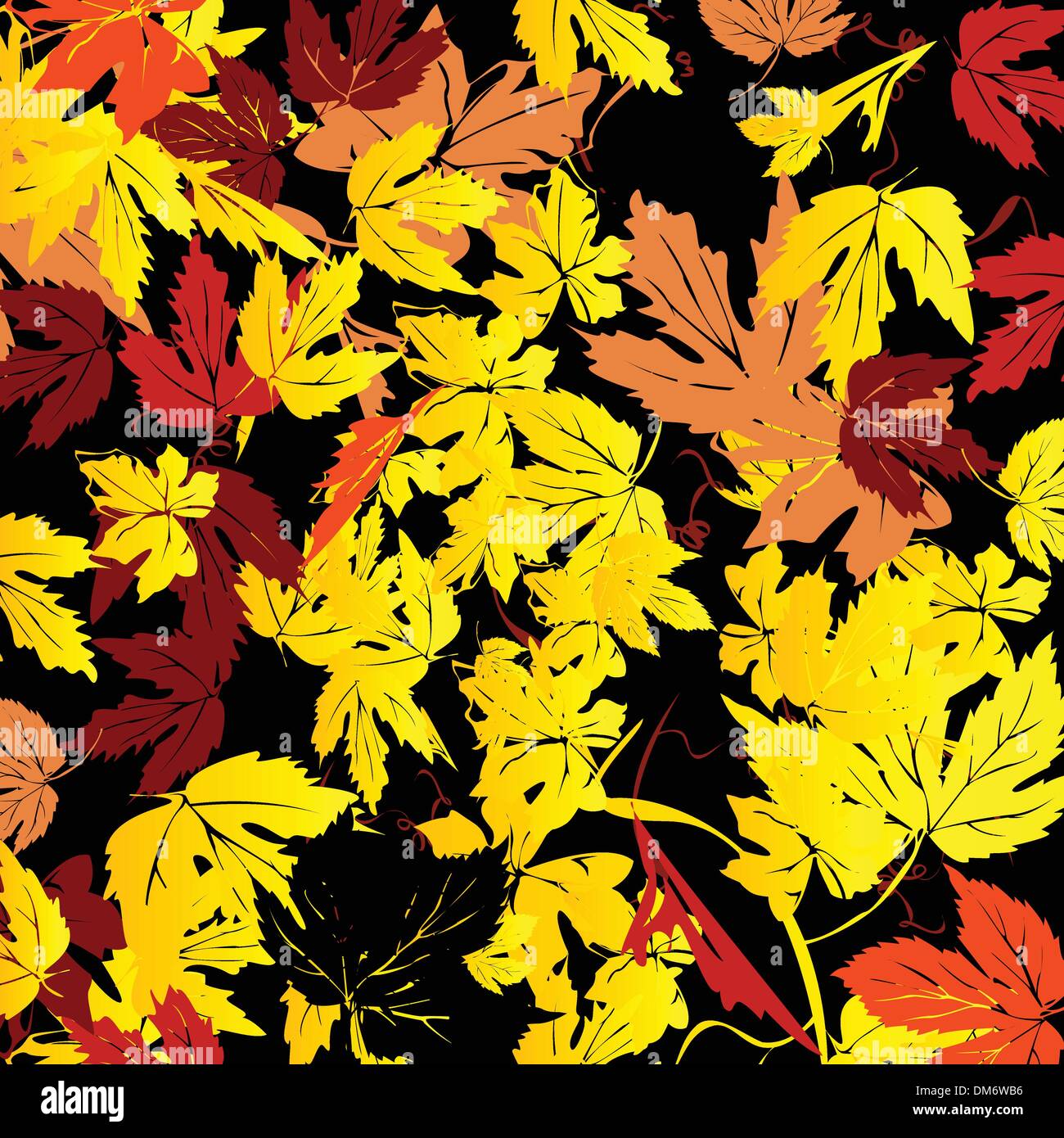 Autumn leaves sycamore tree Stock Vector Images - Alamy