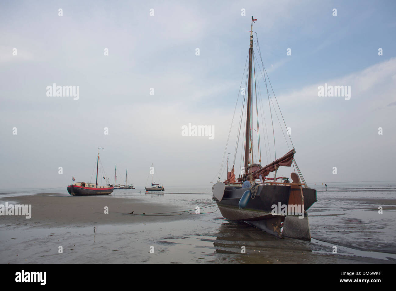 beach of the 'waddenzee' in holland Stock Photo - Alamy