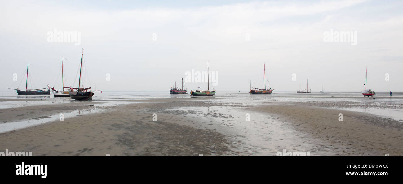 beach of the 'waddenzee' in holland Stock Photo - Alamy