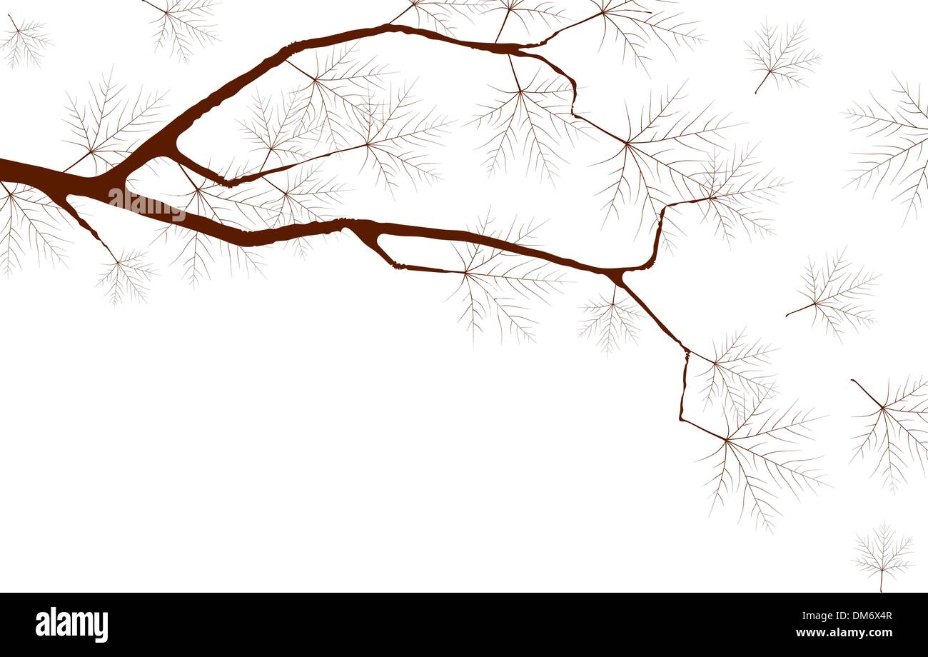 Blue fall sky orange Cut Out Stock Images & Pictures - Alamy