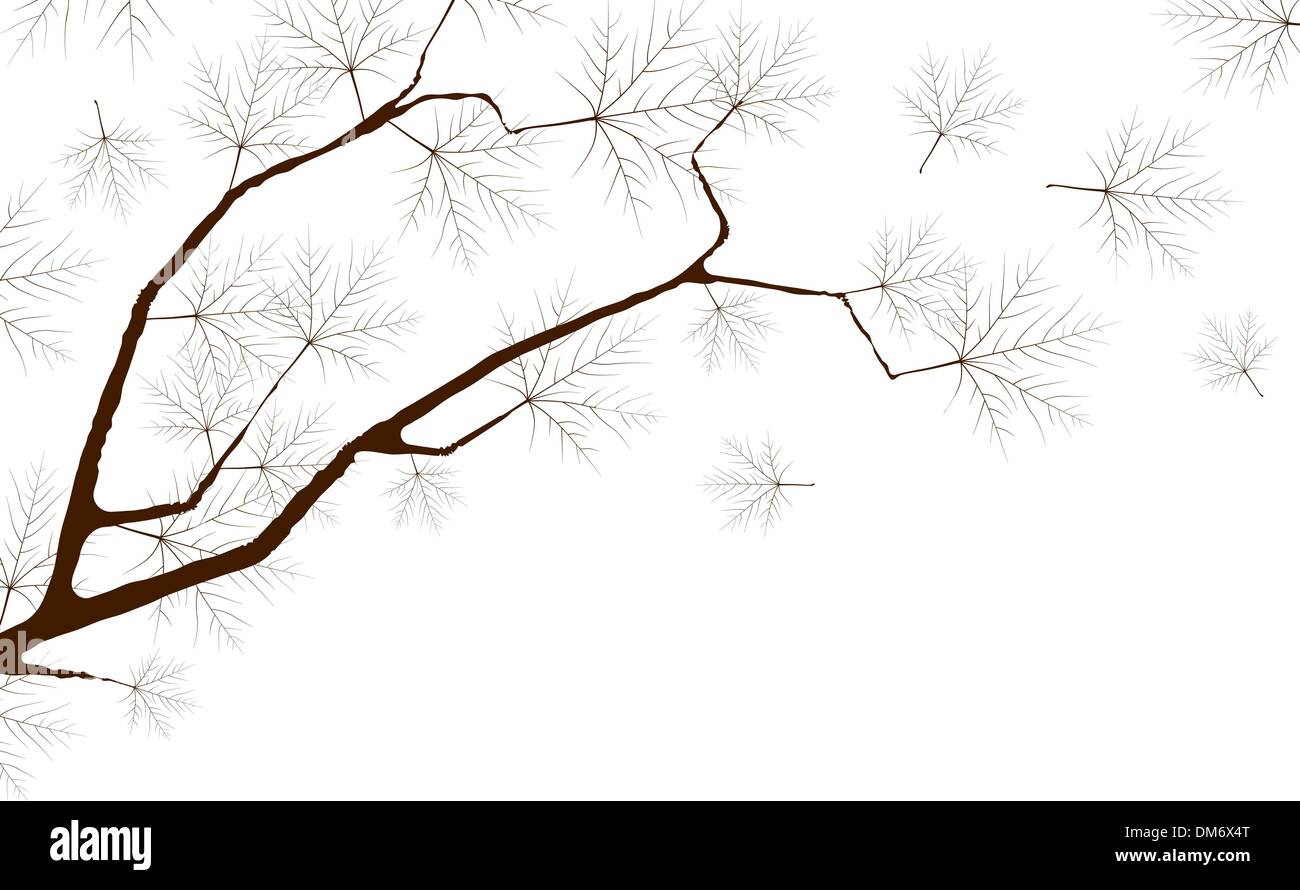 Autumn foliage sky Stock Vector Images - Alamy