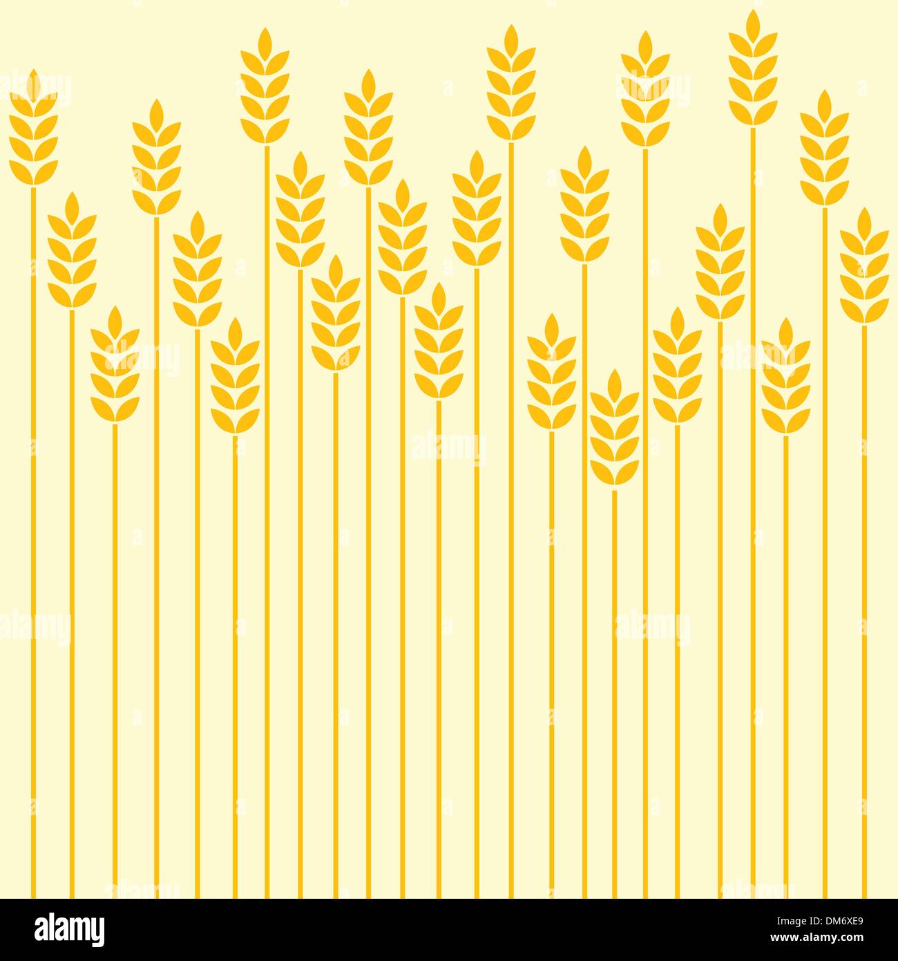 Agricultural field wheat straw Stock Vector Images - Alamy