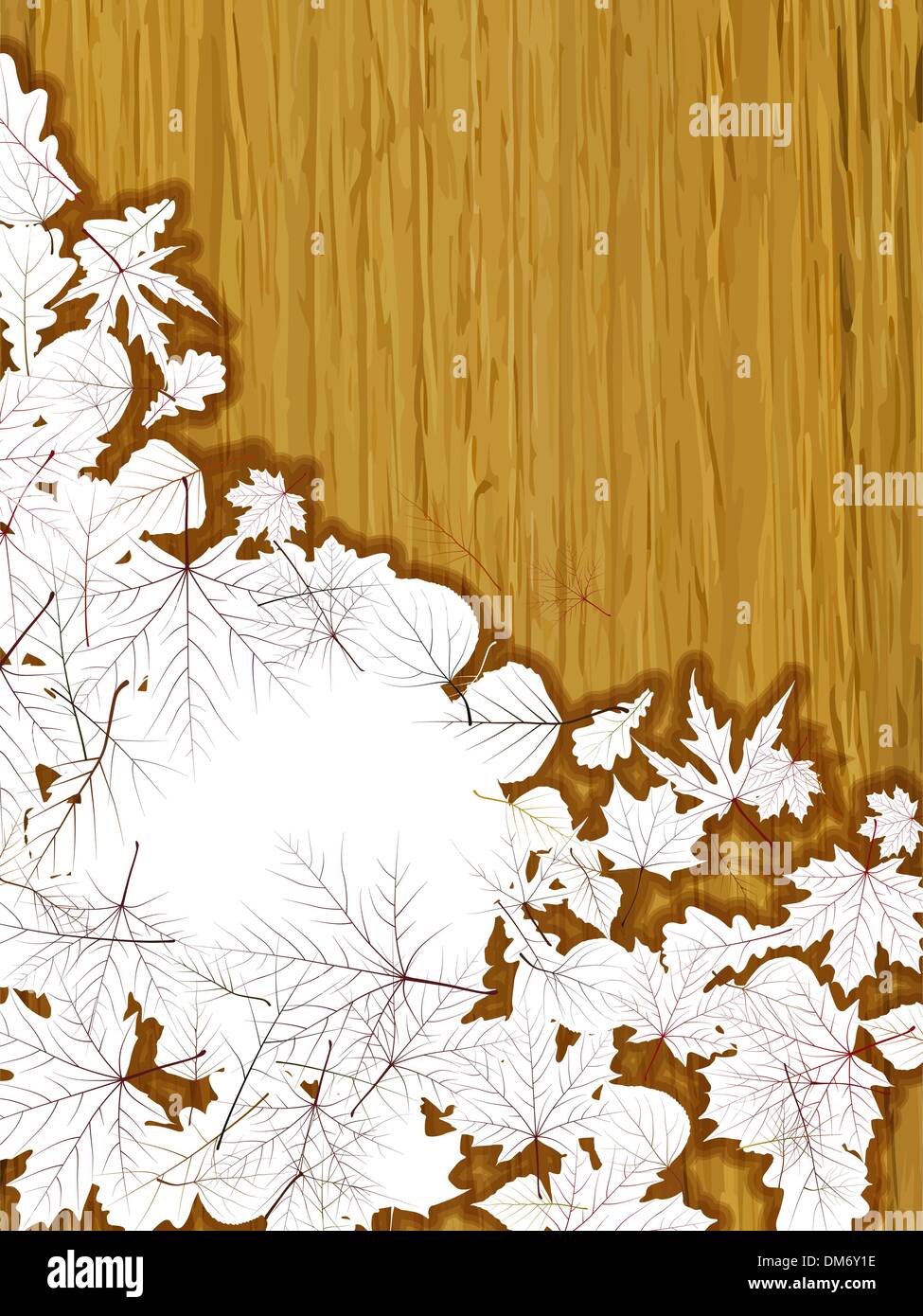 Fall leaves white background Stock Vector Images - Alamy