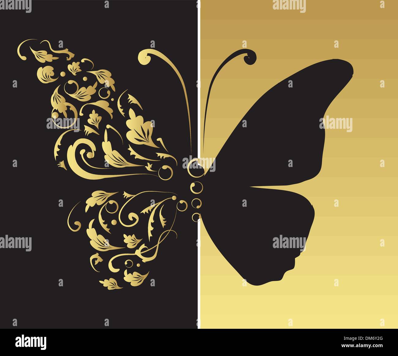 Butterfly, ornate for your design Stock Vector Image & Art - Alamy