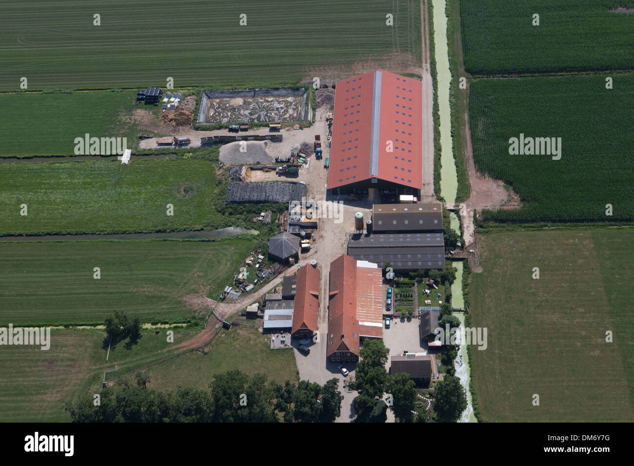 dairy farm in the Netherlands Stock Photo - Alamy