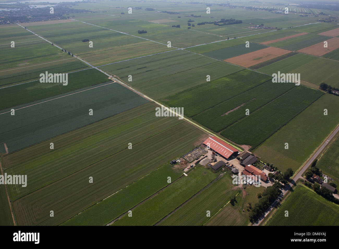 dairy farm in the Netherlands Stock Photo - Alamy