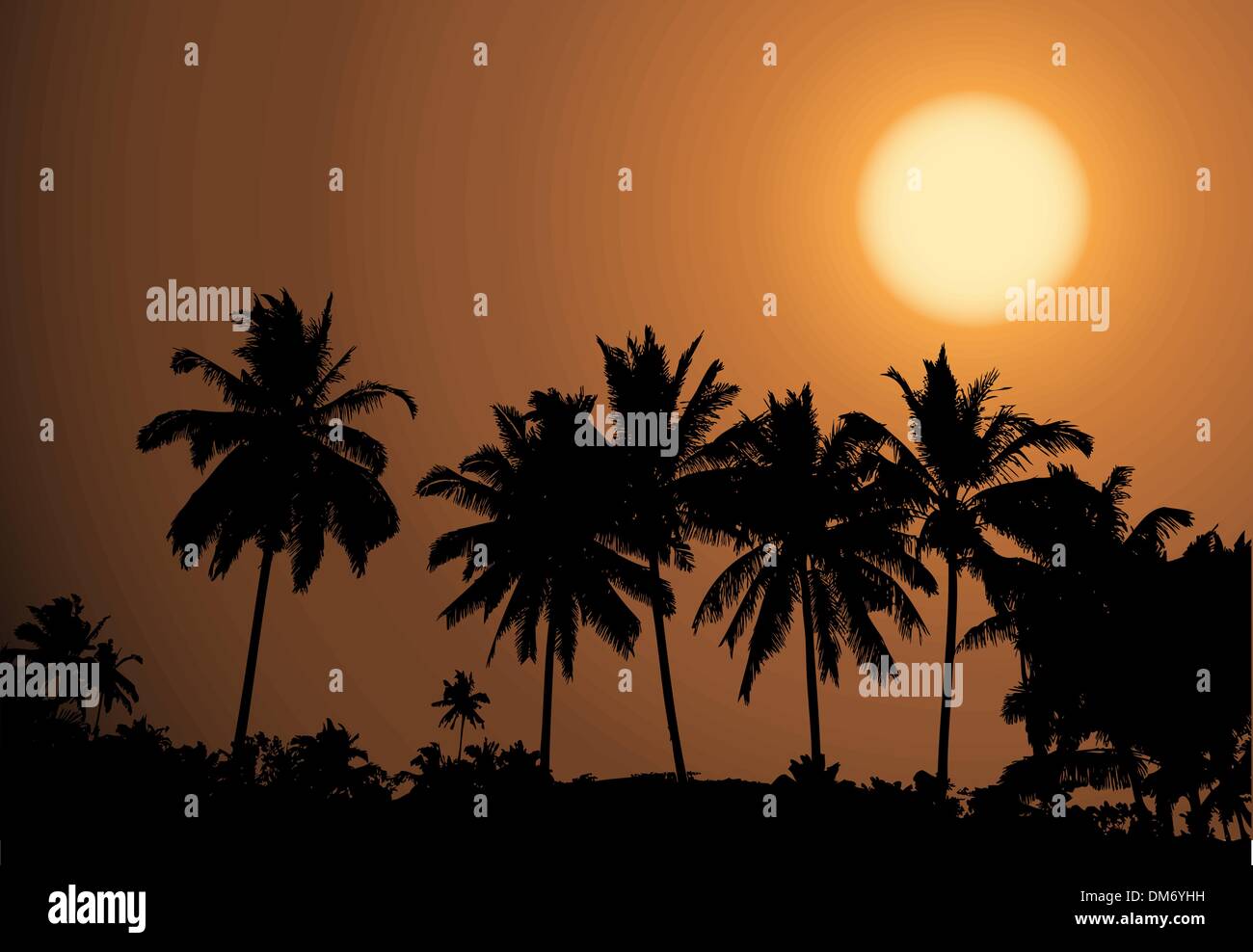 Caribbean heat Stock Vector Images - Alamy
