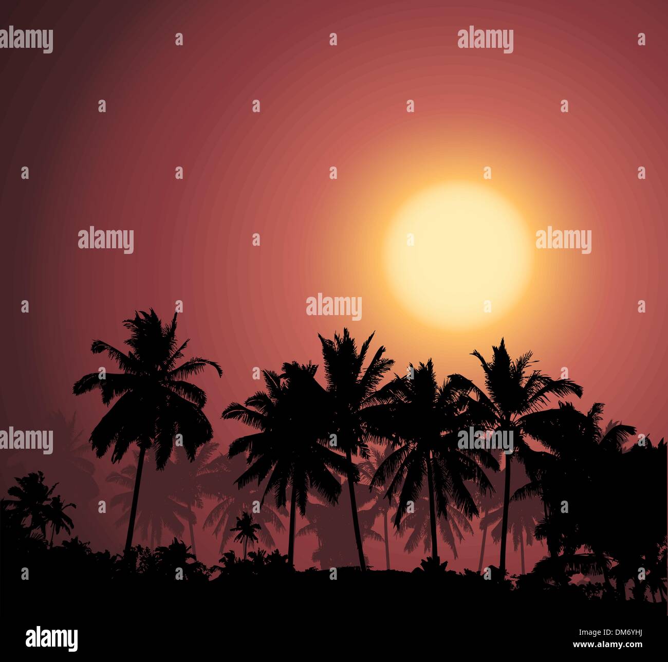 Tropical sunset, palm tree silhouette Stock Vector Image & Art - Alamy