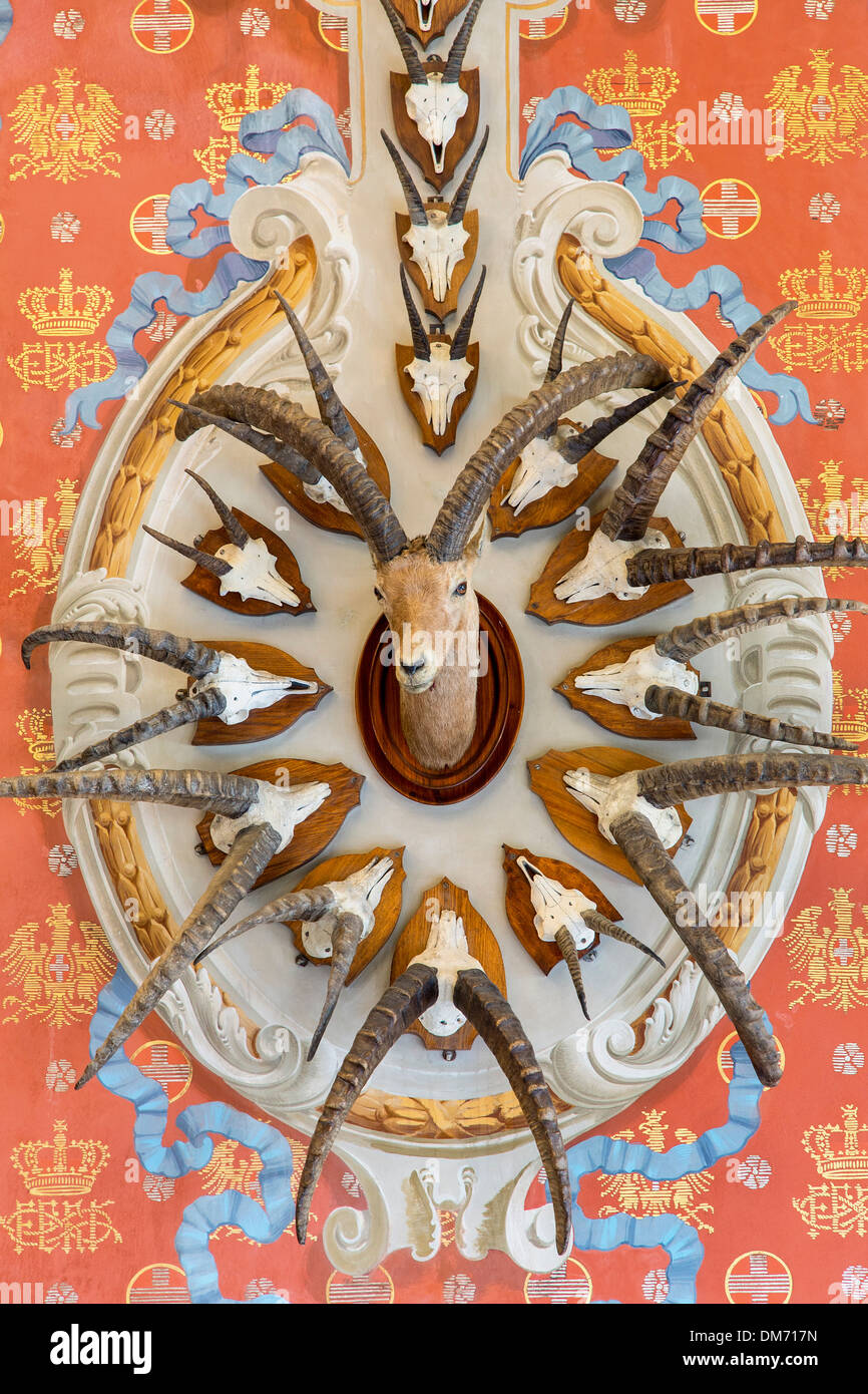 Italy, val d'Aoste, Saint-Pierre, Sarre Castle, Trophy Salon Stock ...