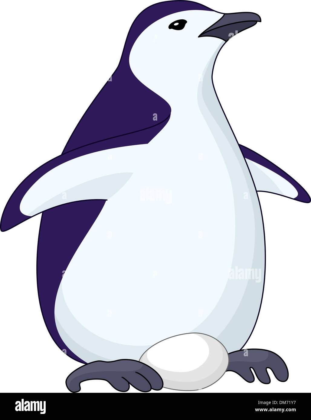 Monografias De Animales Oviparous Animal Clipart