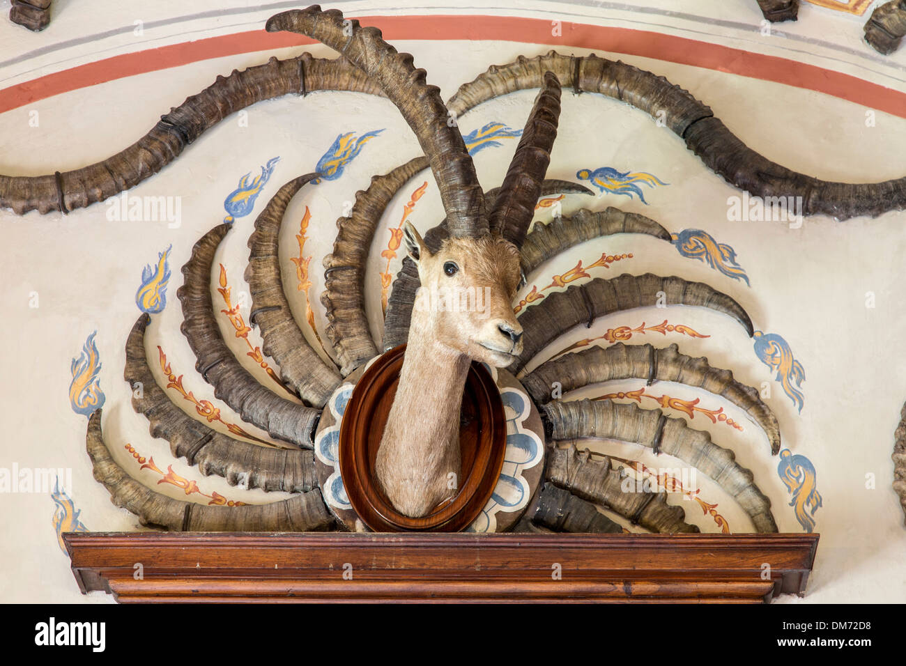 Italy, val d'Aoste, Saint-Pierre, Sarre Castle, Trophy room Stock Photo ...