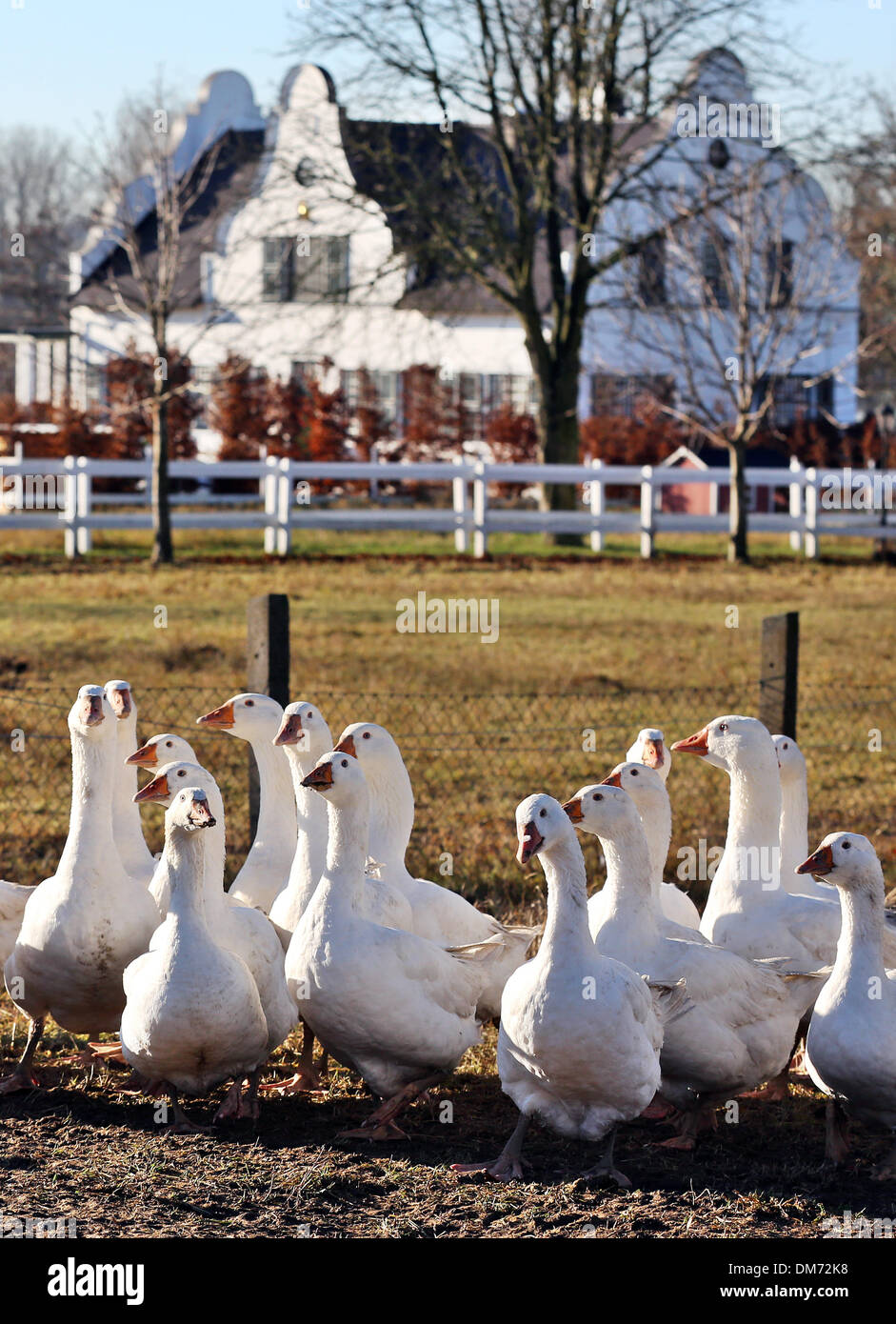 Eskildsen hi-res stock photography and images - Alamy