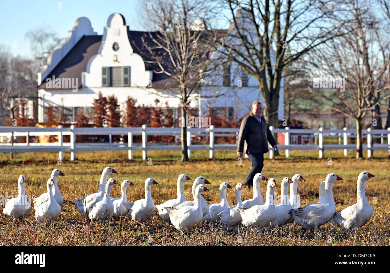 Wermsdorf, Germany. 12th Dec, 2013. Goose breeder Lorenz Eskildsen ...
