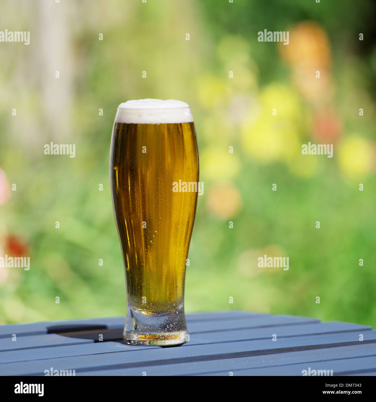 Glass Of Beer Stock Photo Alamy glass-of-beer-stock-photo-alamy