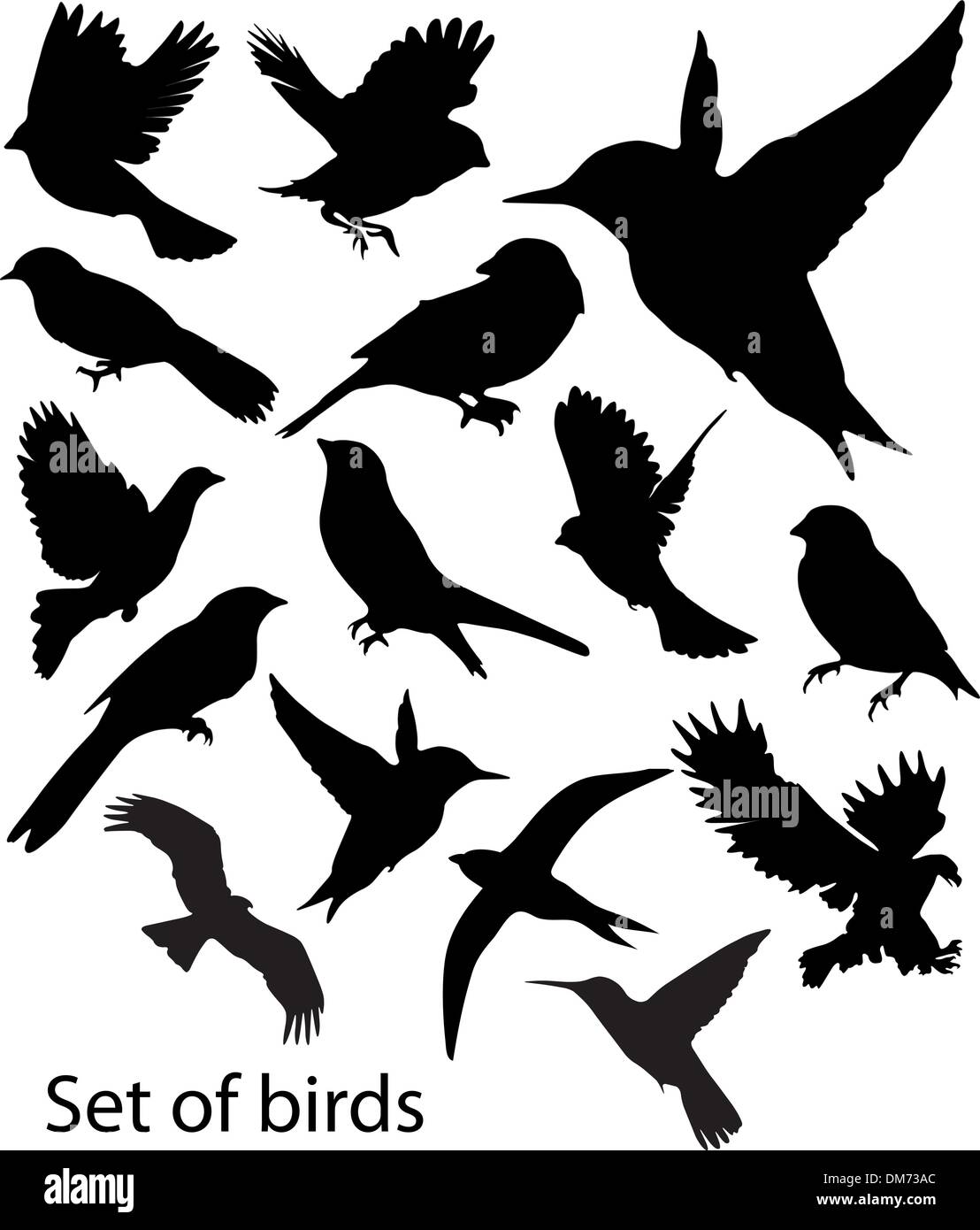 Tropical image set Stock Vector Images - Alamy