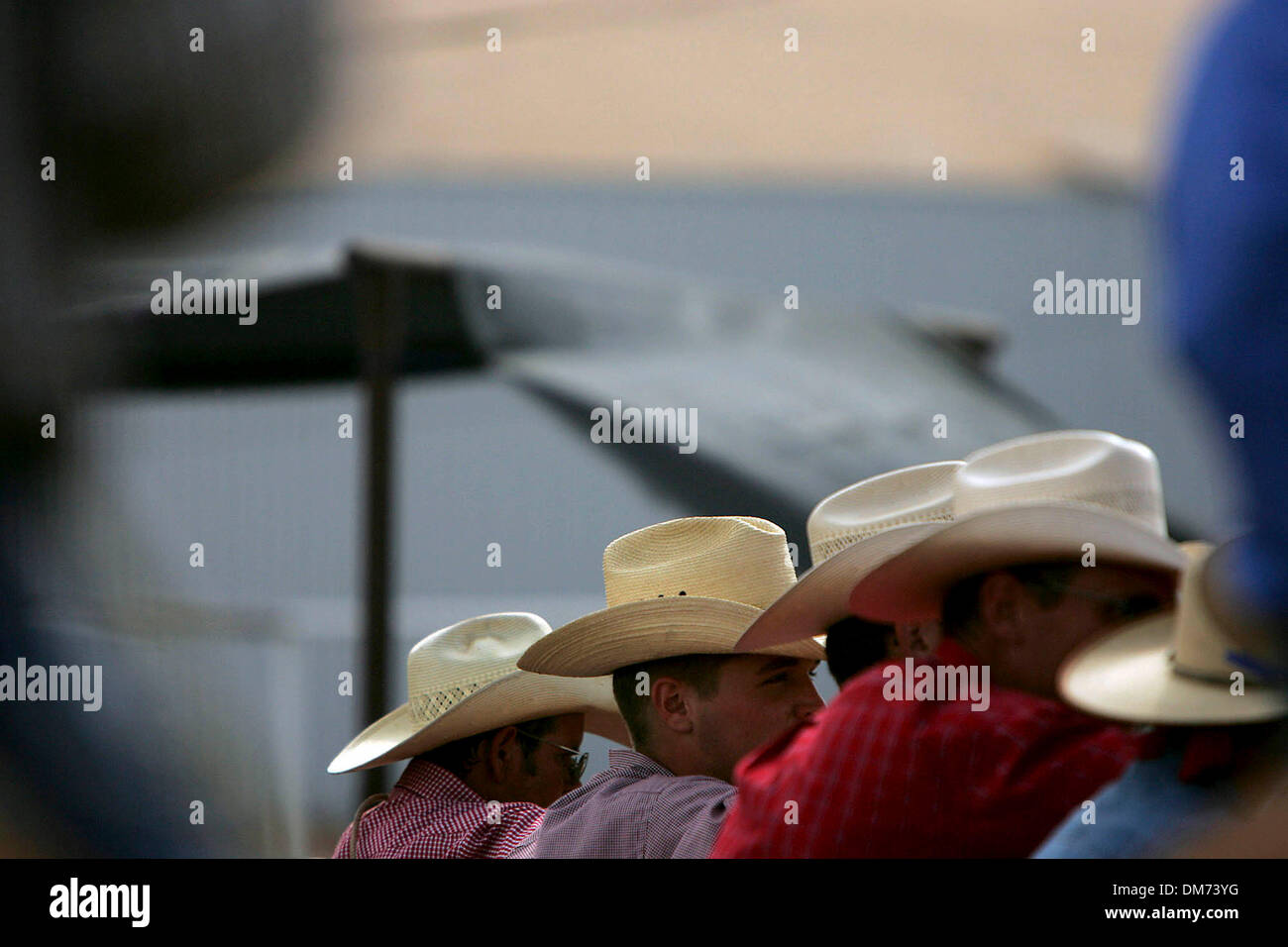 Goat roping hi-res stock photography and images - Alamy
