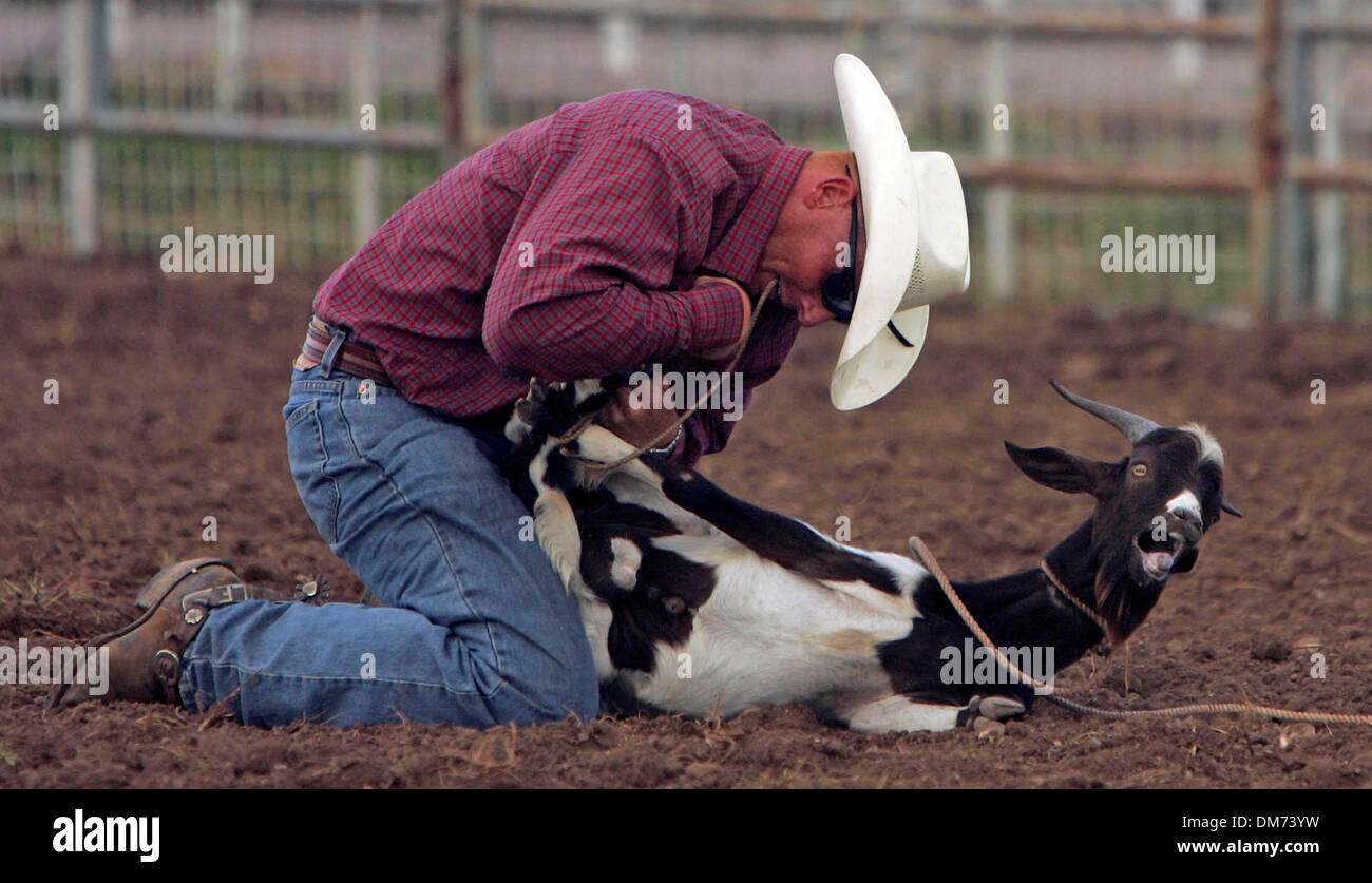 Goat roping hi-res stock photography and images - Alamy