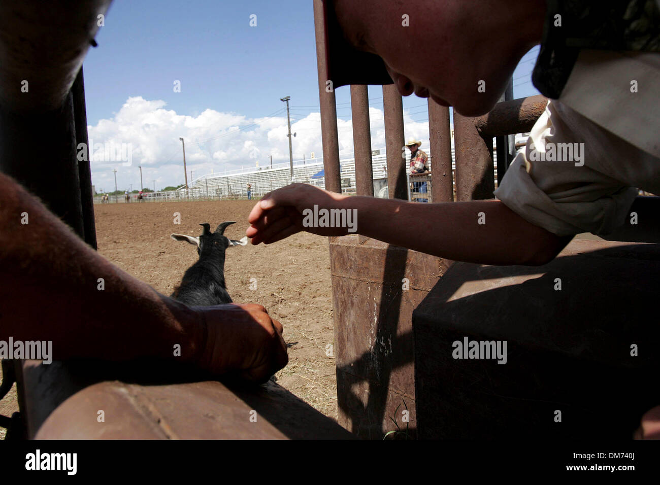 Goat roping hi-res stock photography and images - Alamy
