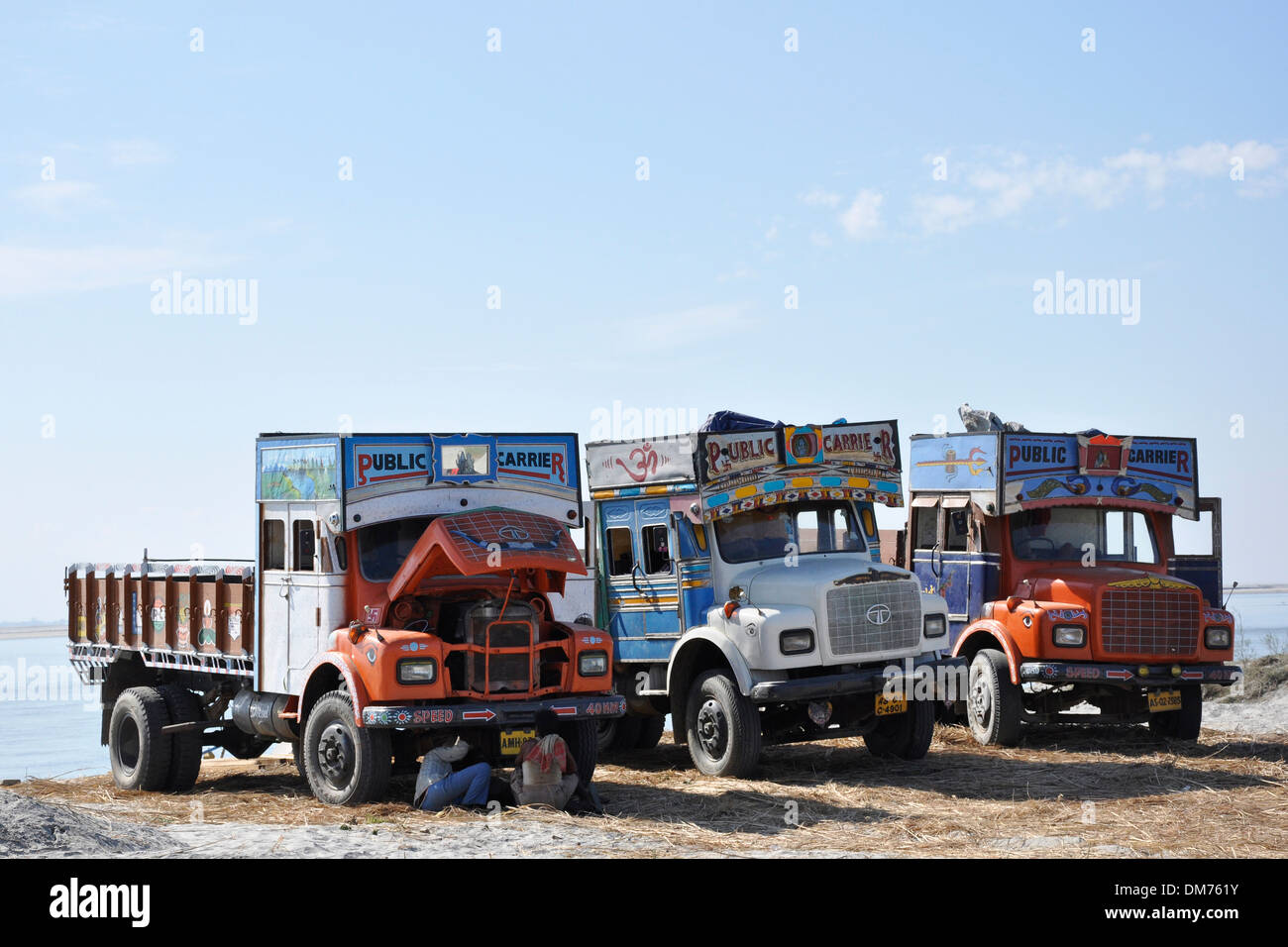 India assam hi-res stock photography and images - Alamy