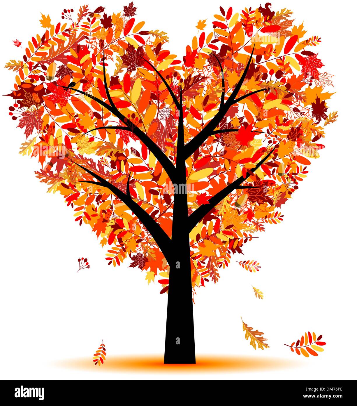 Beautiful shape plant hi-res stock photography and images - Alamy