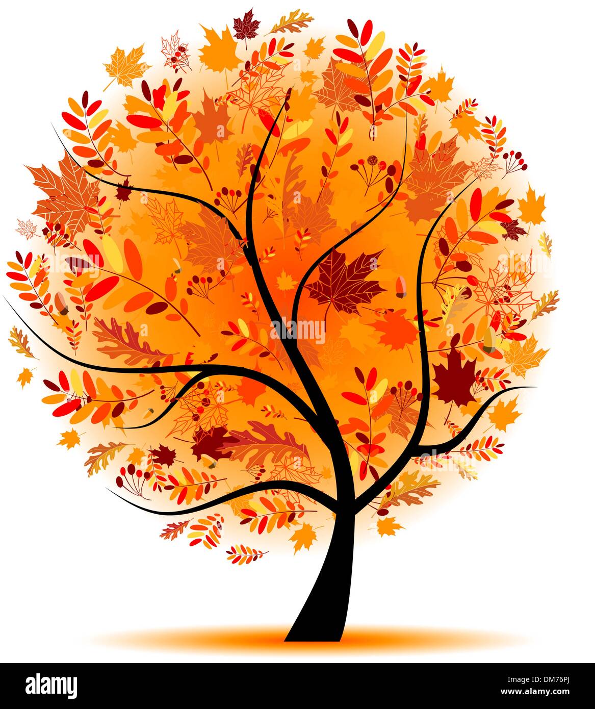 Beautiful autumn tree for your design Stock Vector Image & Art - Alamy
