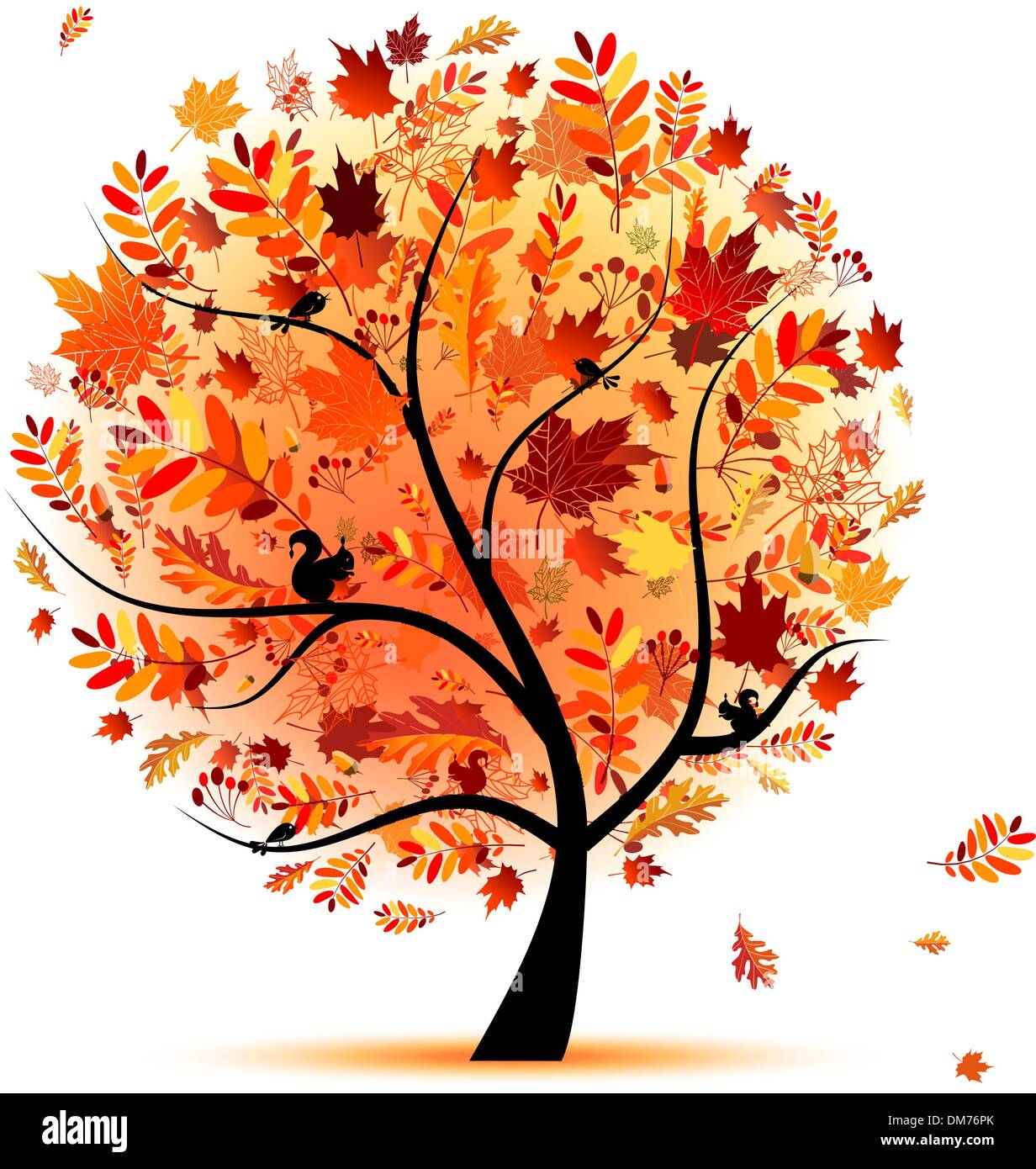 Oak tree autumn Stock Vector Images - Alamy