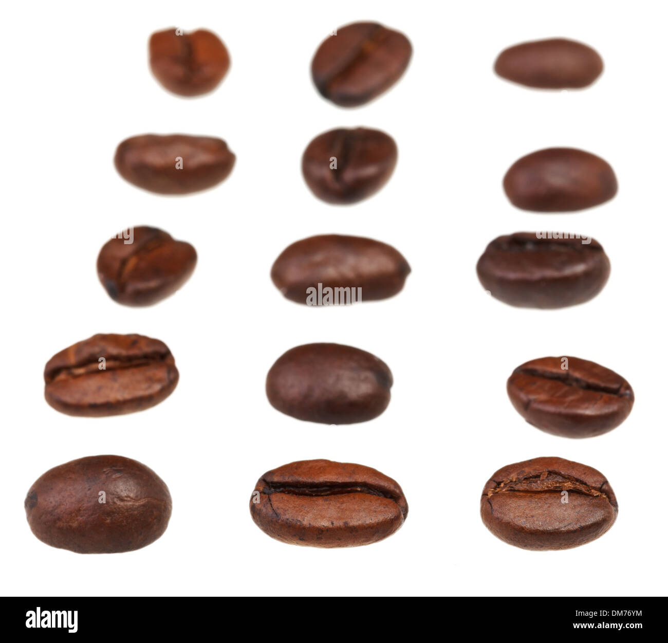 rows and columns from roasted coffee beans with focus foreground Stock ...