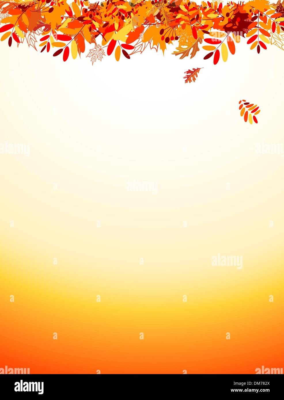 Autumn leaves background for your design Stock Vector Image & Art - Alamy