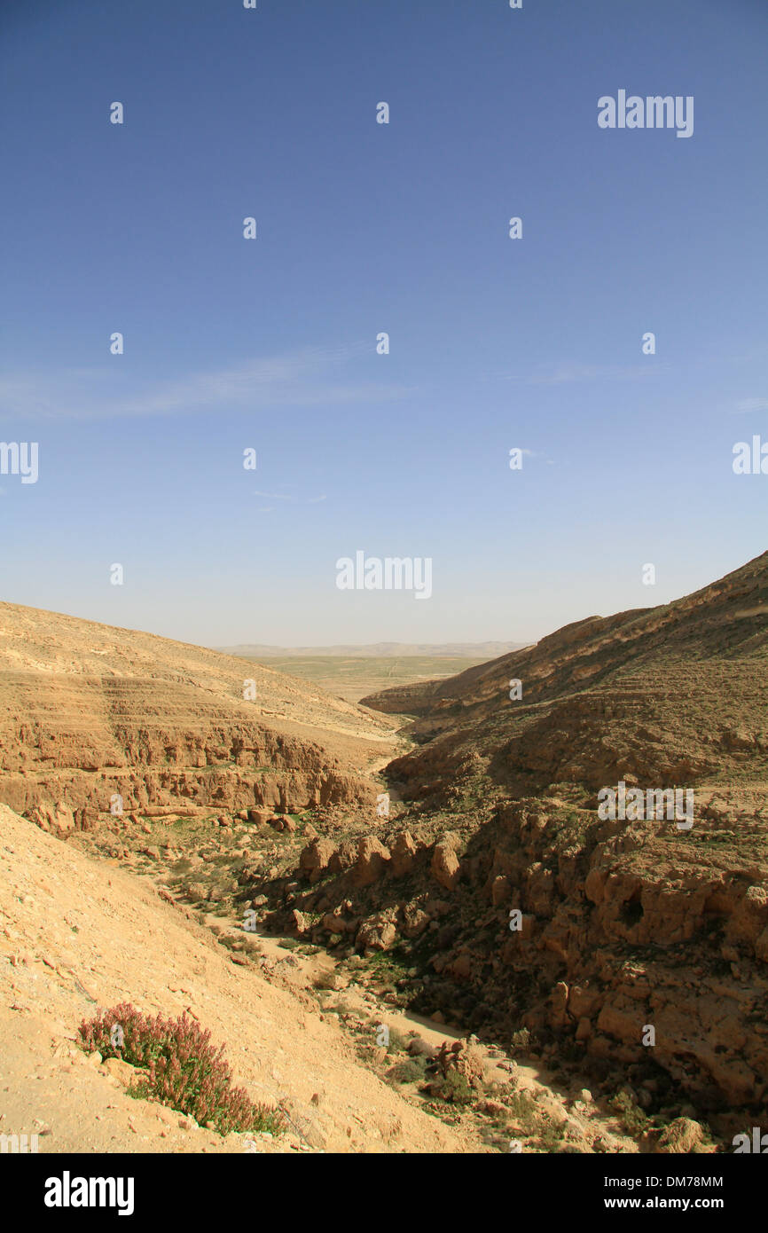 Hi201 793 hi-res stock photography and images - Alamy