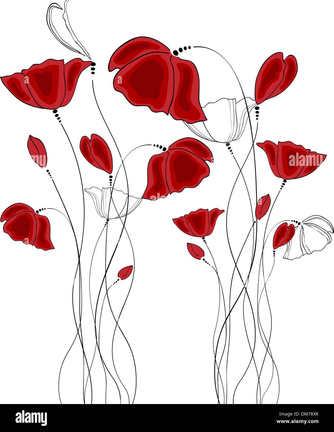 Beautiful poppy Stock Vector Images - Alamy