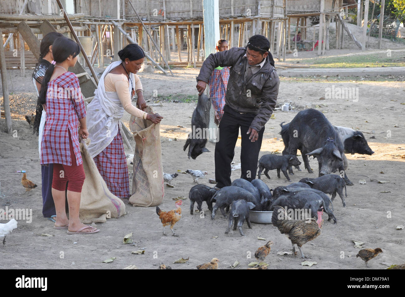 Mishing tribe hi-res stock photography and images - Alamy