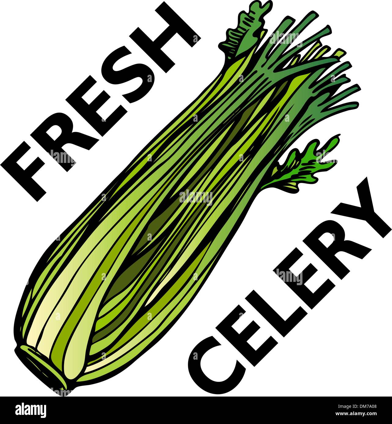 Fresh produce sketch Stock Vector Images - Alamy