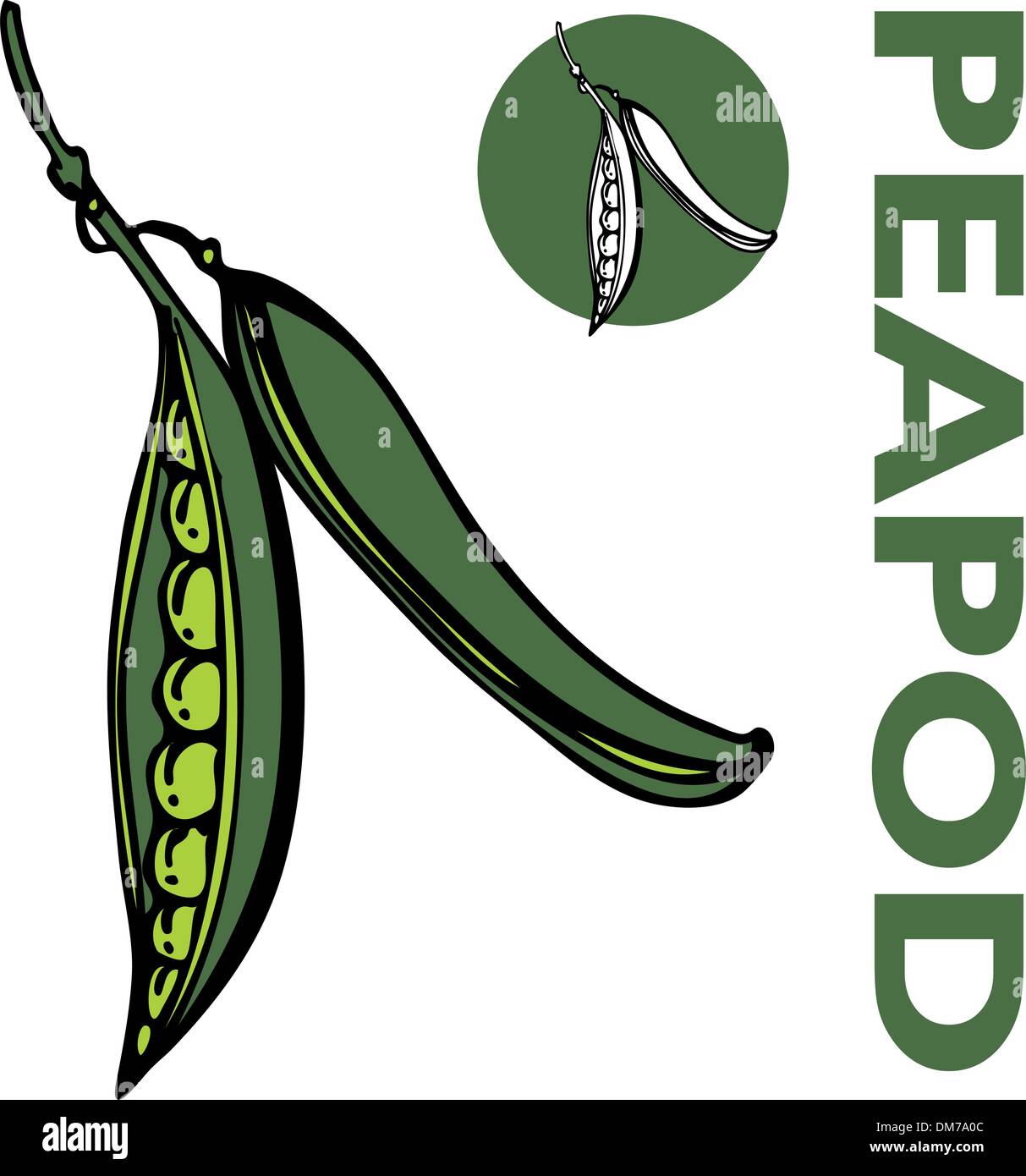 Pea pod black Stock Vector Images - Alamy